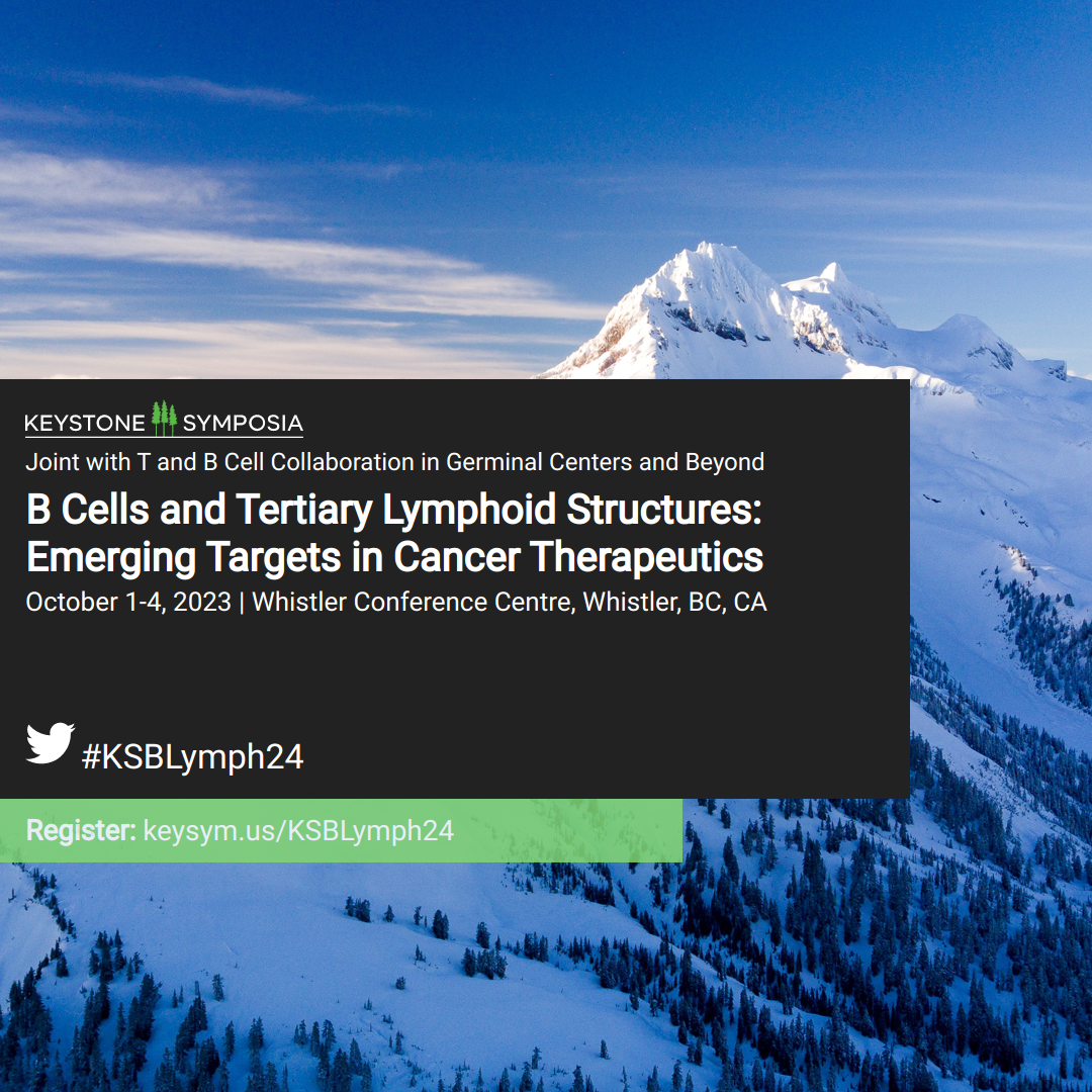 B Cells and Tertiary Lymphoid Structures: Emerging Targets in Cancer Therapeutics | Keystone ...